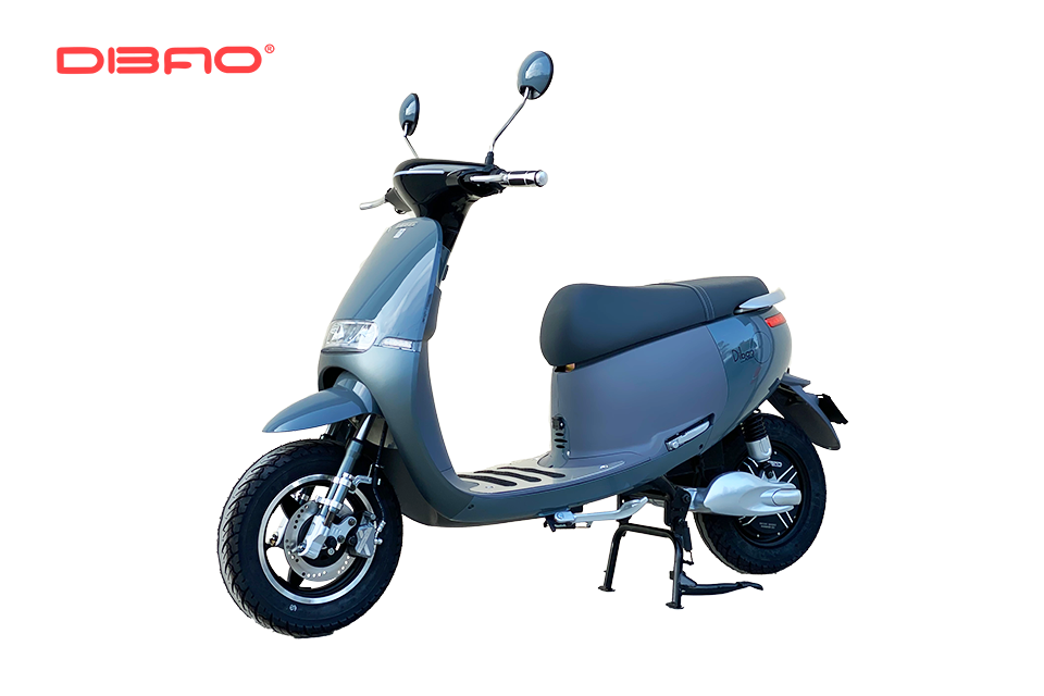 XE ĐIỆN DIBAO GOGO S5