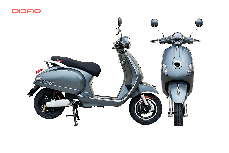 XE MÁY ĐIỆN DIBAO PANSY S2 (CÀNG NHÔM)