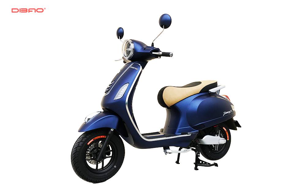 XE MÁY ĐIỆN DIBAO PANSY S3