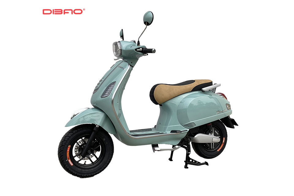 XE MÁY ĐIỆN DIBAO PANSY S4